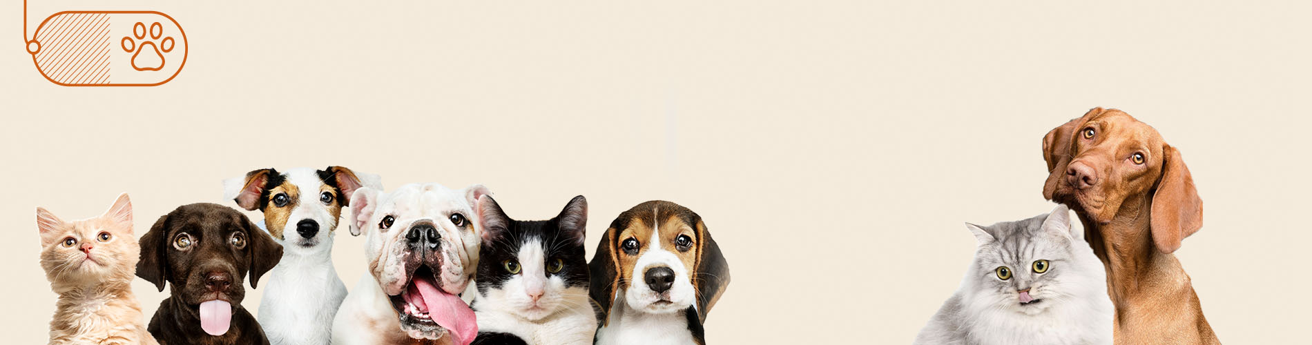 Pet-Caps empty capsules for pets | CapsCanada