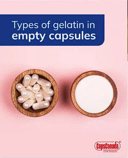 Types of Gelatin Used in Capsule Manufacturing | Capscanda